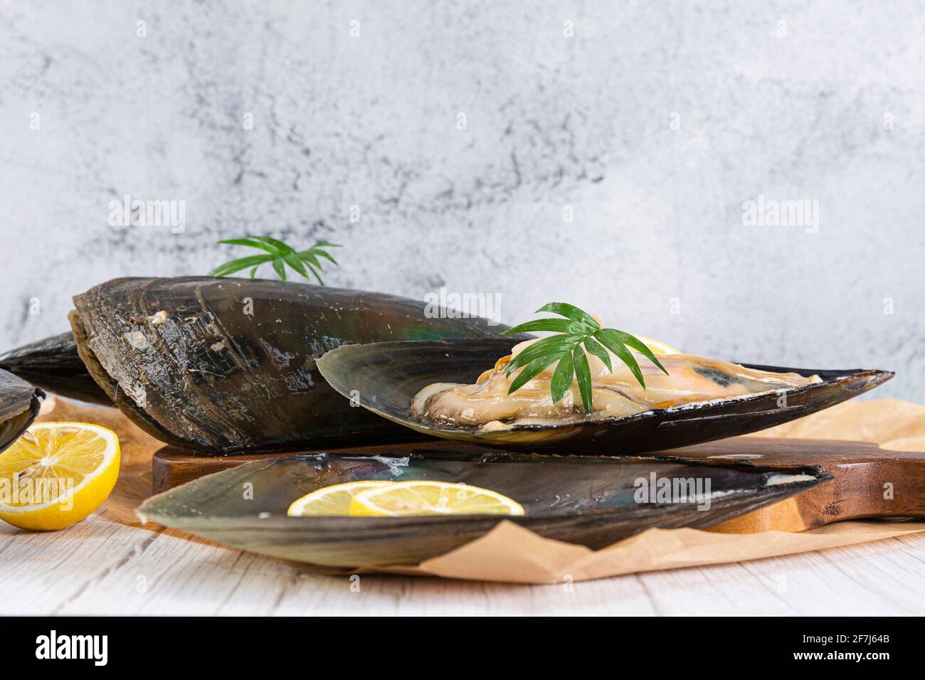 pen shell on table Stock Photo - Alamy