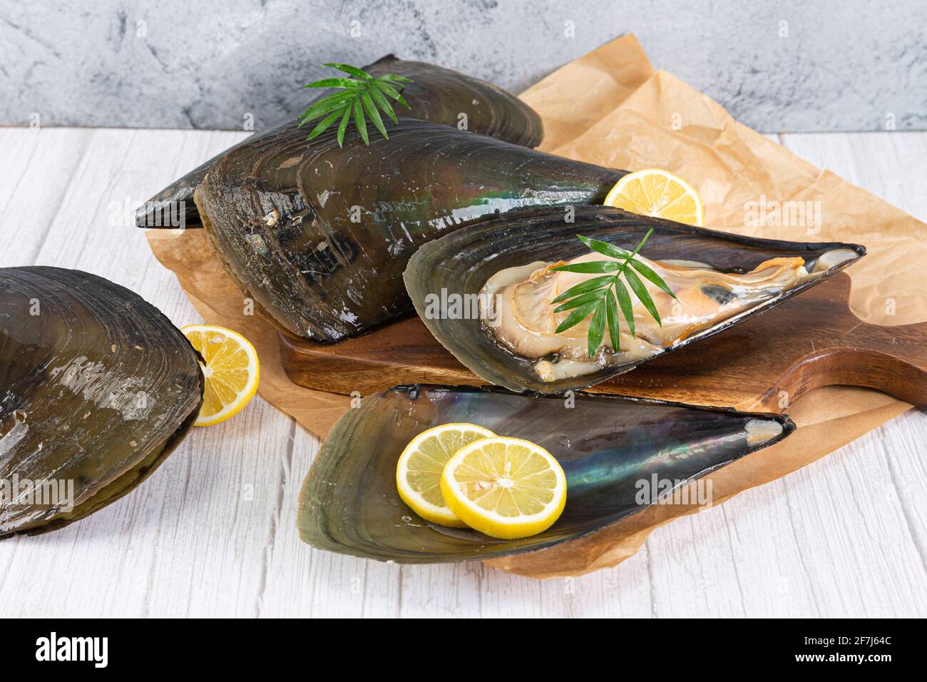 pen shell on table Stock Photo - Alamy