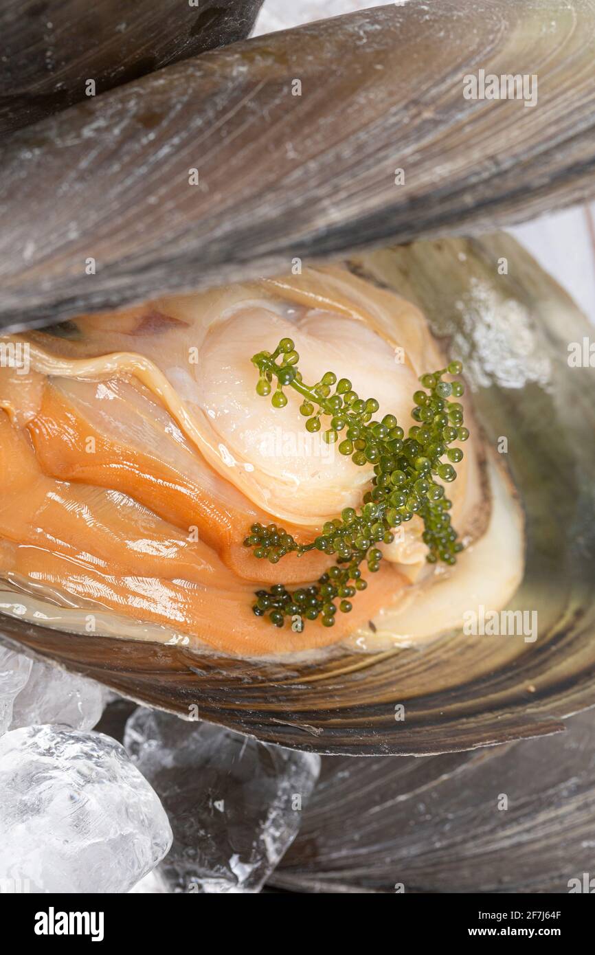 Clam shell container hi-res stock photography and images - Alamy