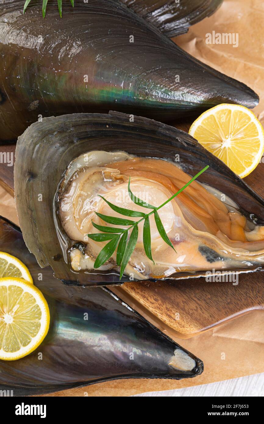 pen shell on table Stock Photo - Alamy