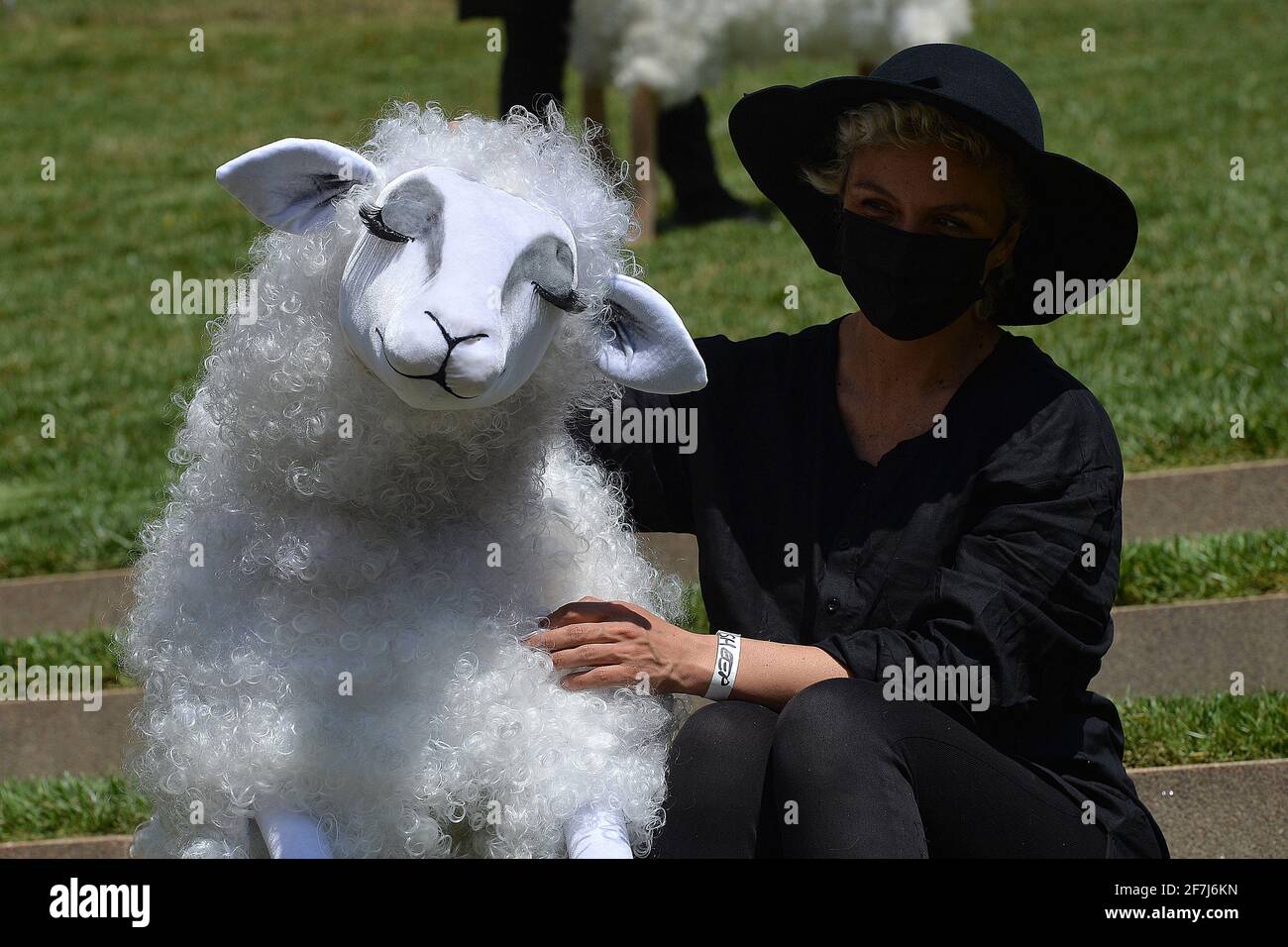 Life size sheep hi-res stock photography and images - Alamy