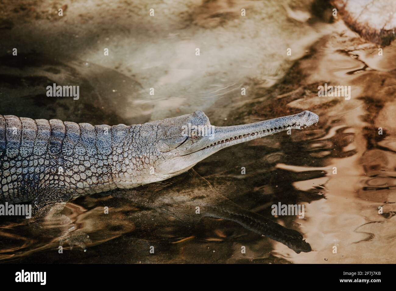 Full body and head shots hi-res stock photography and images - Alamy