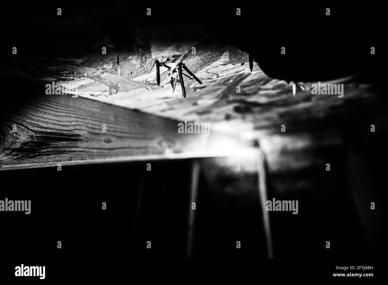 Nails from shingle installation protruding though underside of plywood ...