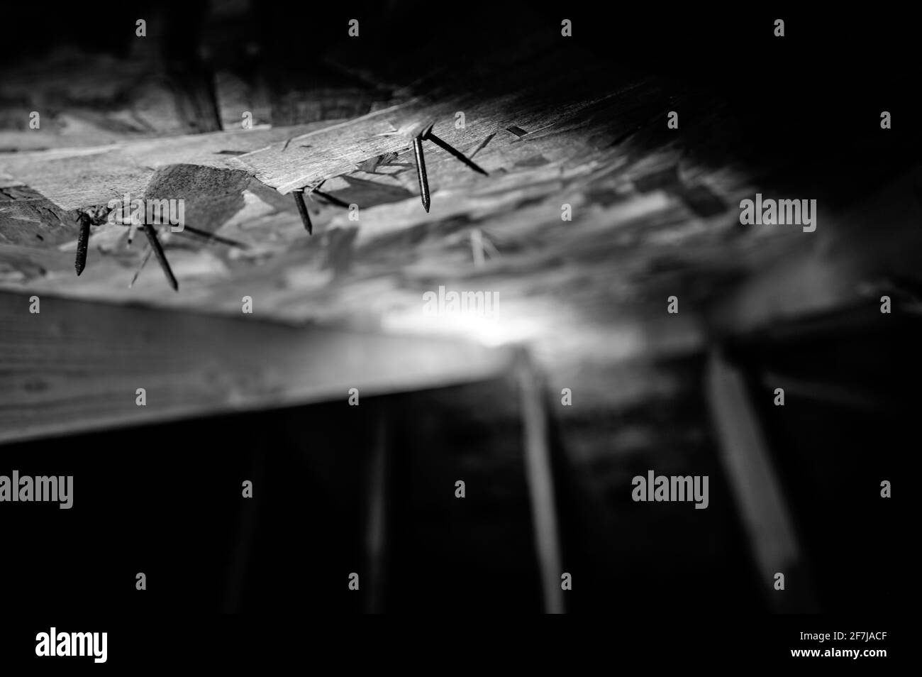 Nails from shingle installation protruding though underside of plywood ...