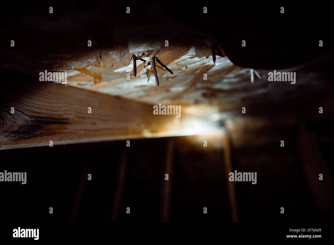 Nails from shingle installation protruding though underside of plywood ...