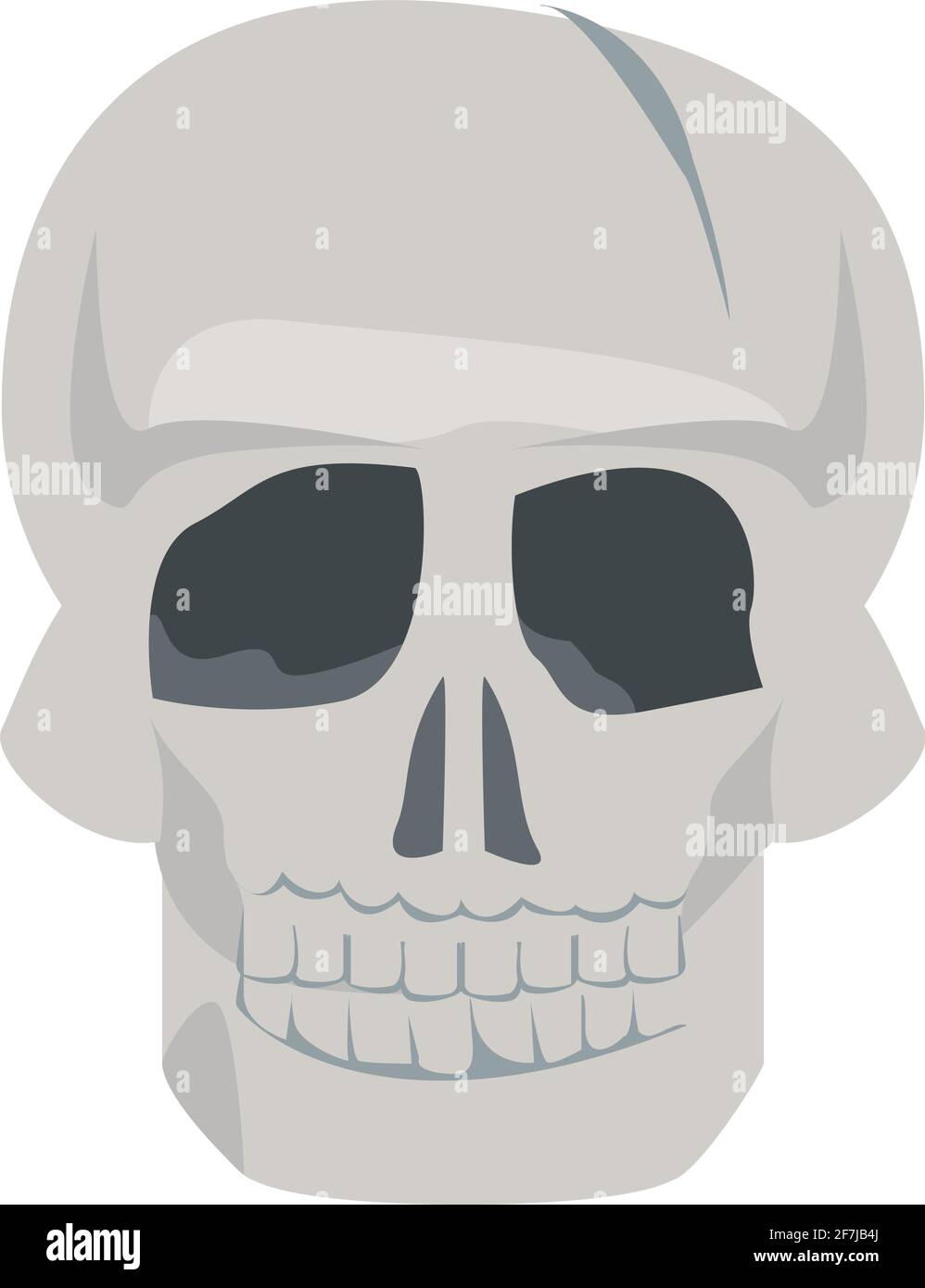 front head skull Stock Vector Image & Art - Alamy