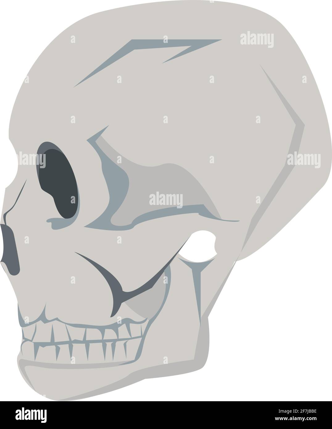 profile head skull Stock Vector Image & Art - Alamy