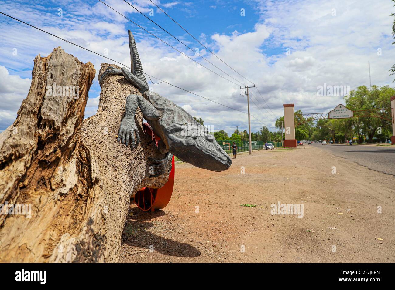 Sculptures of giant iguanas at the entrance to the town of Cócorit, one ...