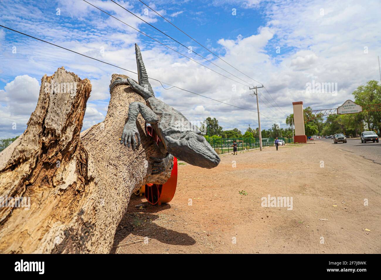Sculptures of giant iguanas at the entrance to the town of Cócorit, one ...