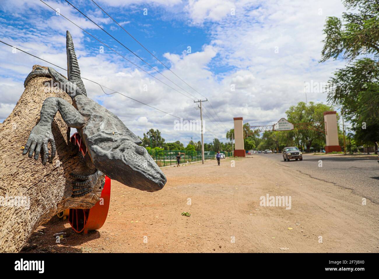 Sculptures of giant iguanas at the entrance to the town of Cócorit, one ...