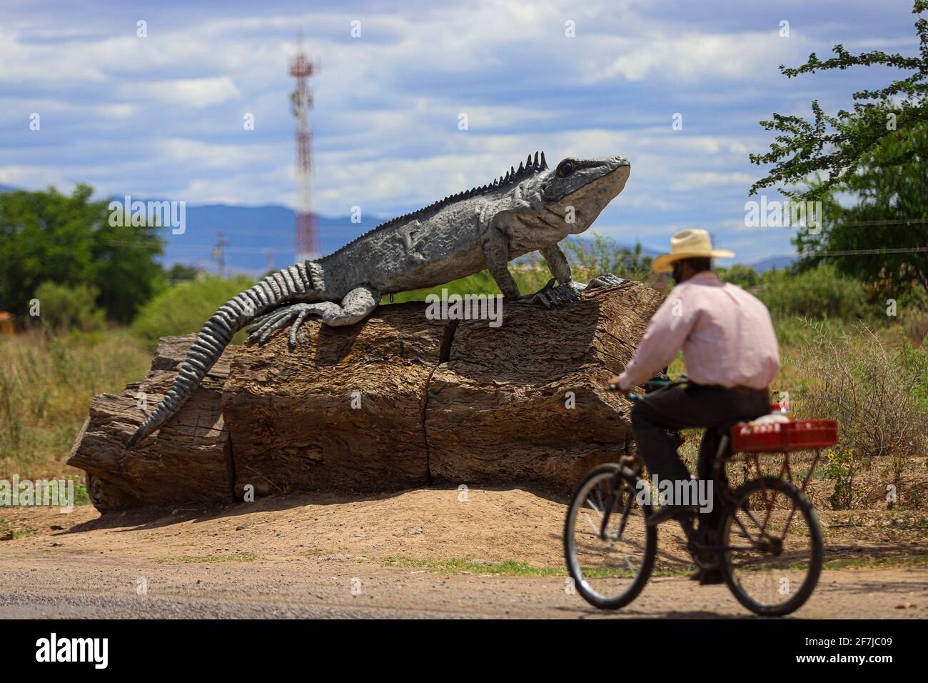 Sculptures of giant iguanas at the entrance to the town of Cócorit, one ...