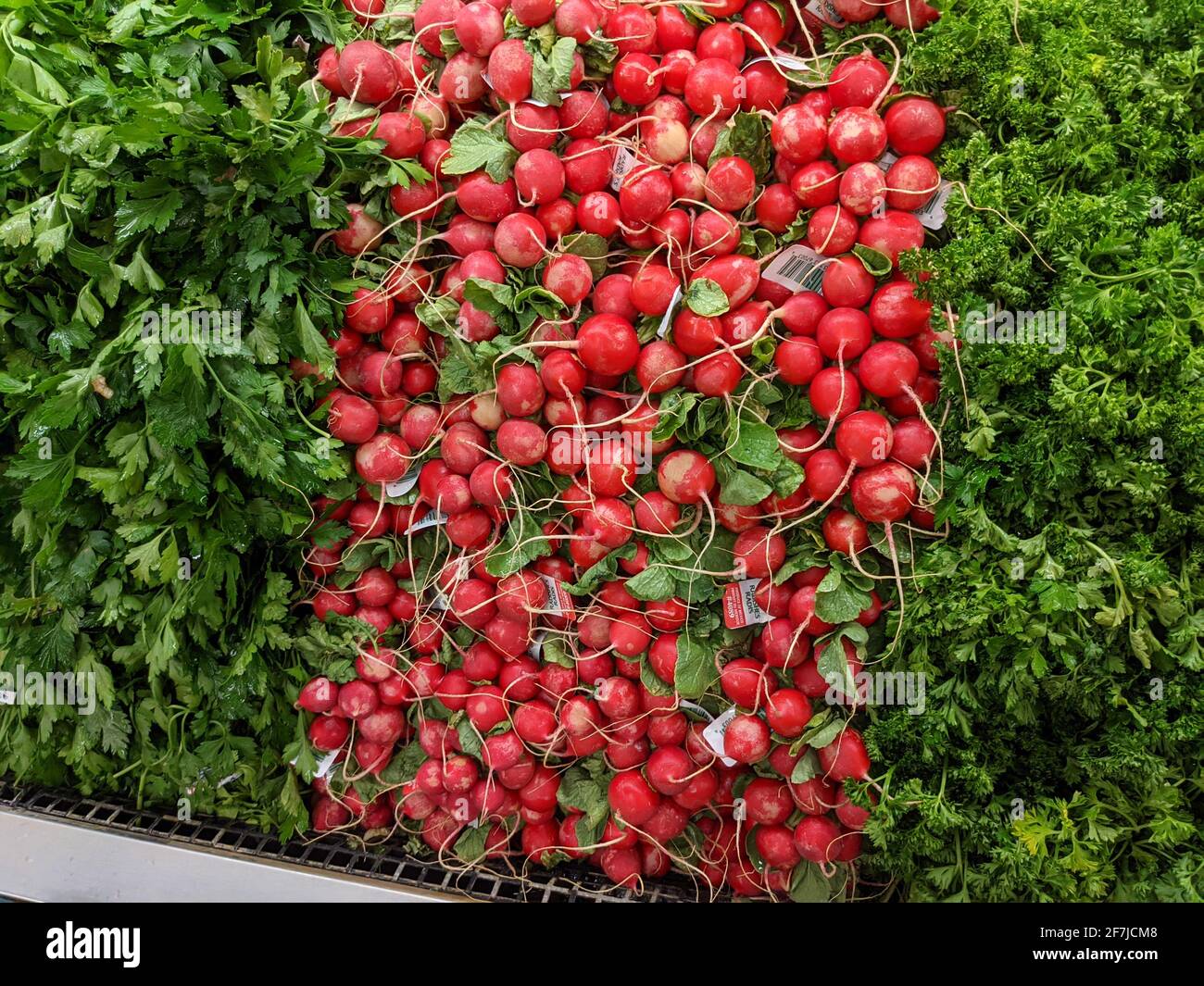 Radish radish various hi-res stock photography and images - Alamy