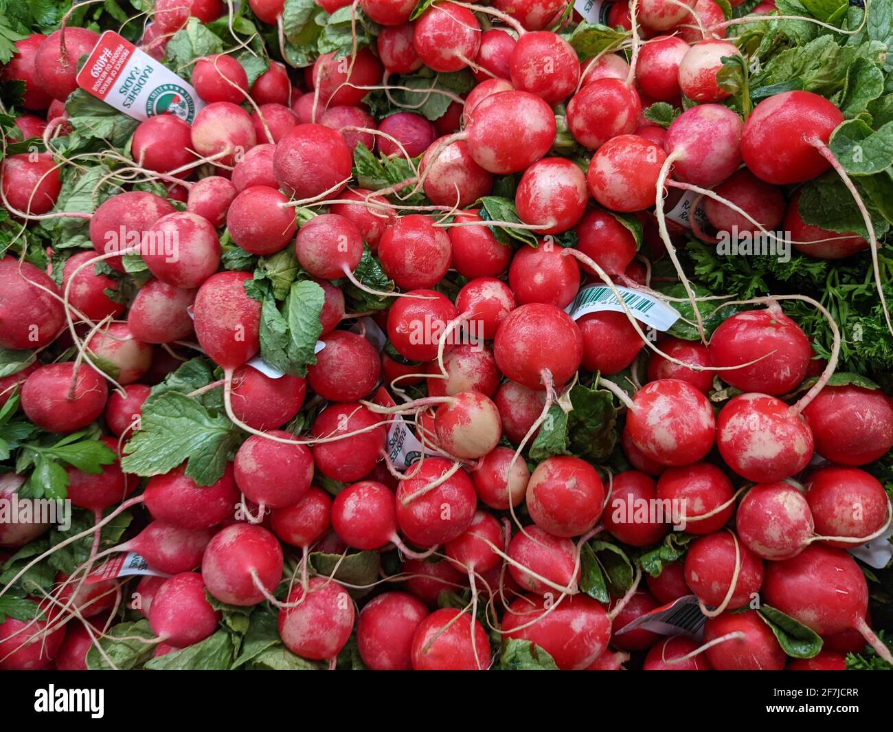 Radish purchase hi-res stock photography and images - Alamy