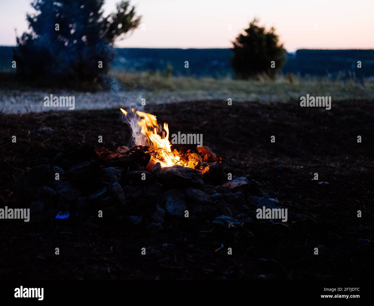 Bonfire in nature in the forest and tall pine trees in the background ...