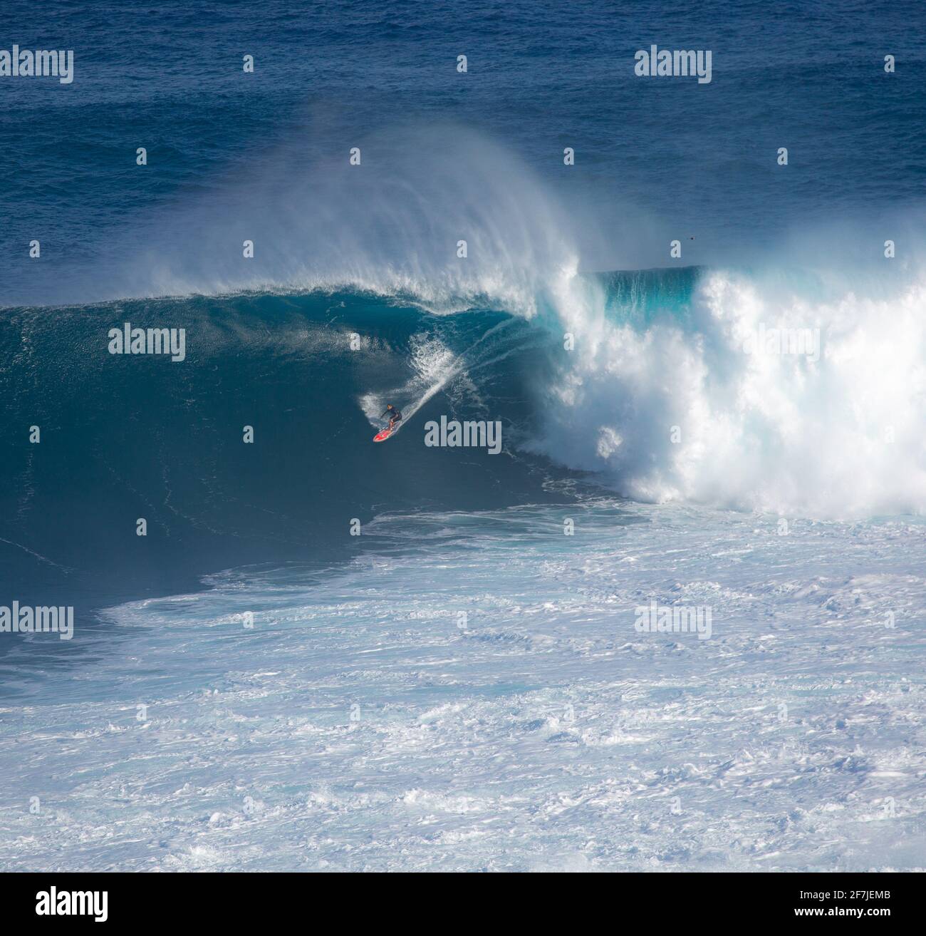 A surfer rides a giant wave at the surf break know as Jaws or Peahi on ...