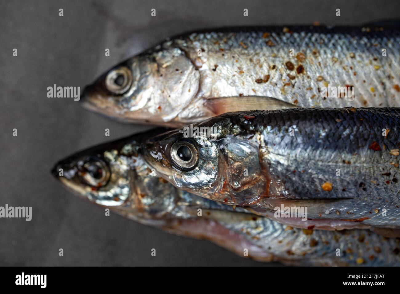 River fish close hi-res stock photography and images - Alamy