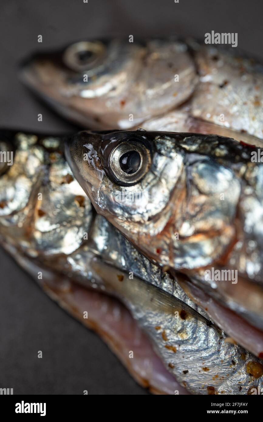 Fish head close up hi-res stock photography and images - Alamy