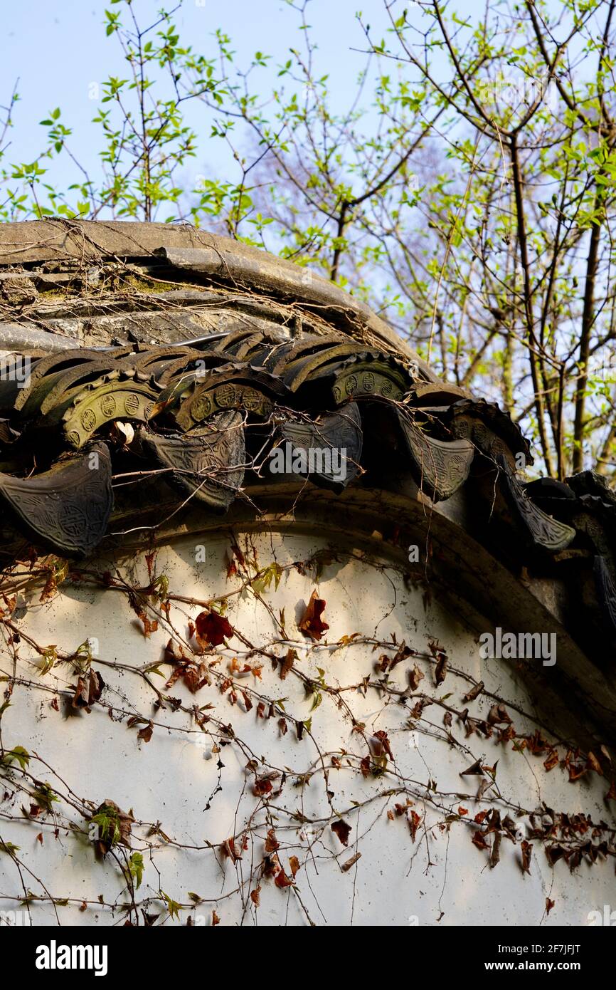 Vine roof hi-res stock photography and images - Alamy