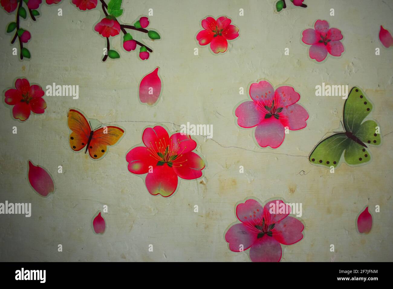Colorful natural wall background Stock Photo - Alamy