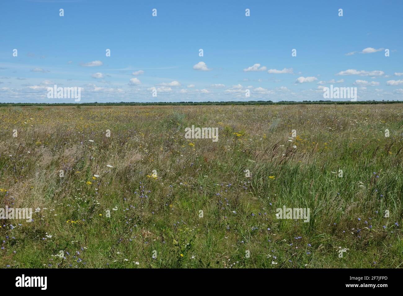 Ukrainian steppe hi-res stock photography and images - Alamy