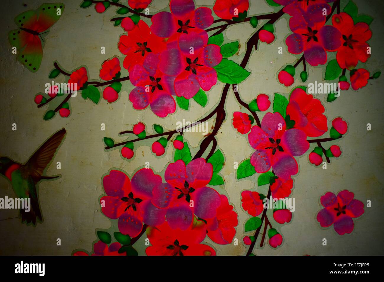 Colorful natural wall background Stock Photo - Alamy