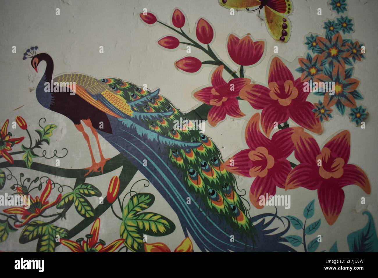 Colorful natural wall background Stock Photo - Alamy