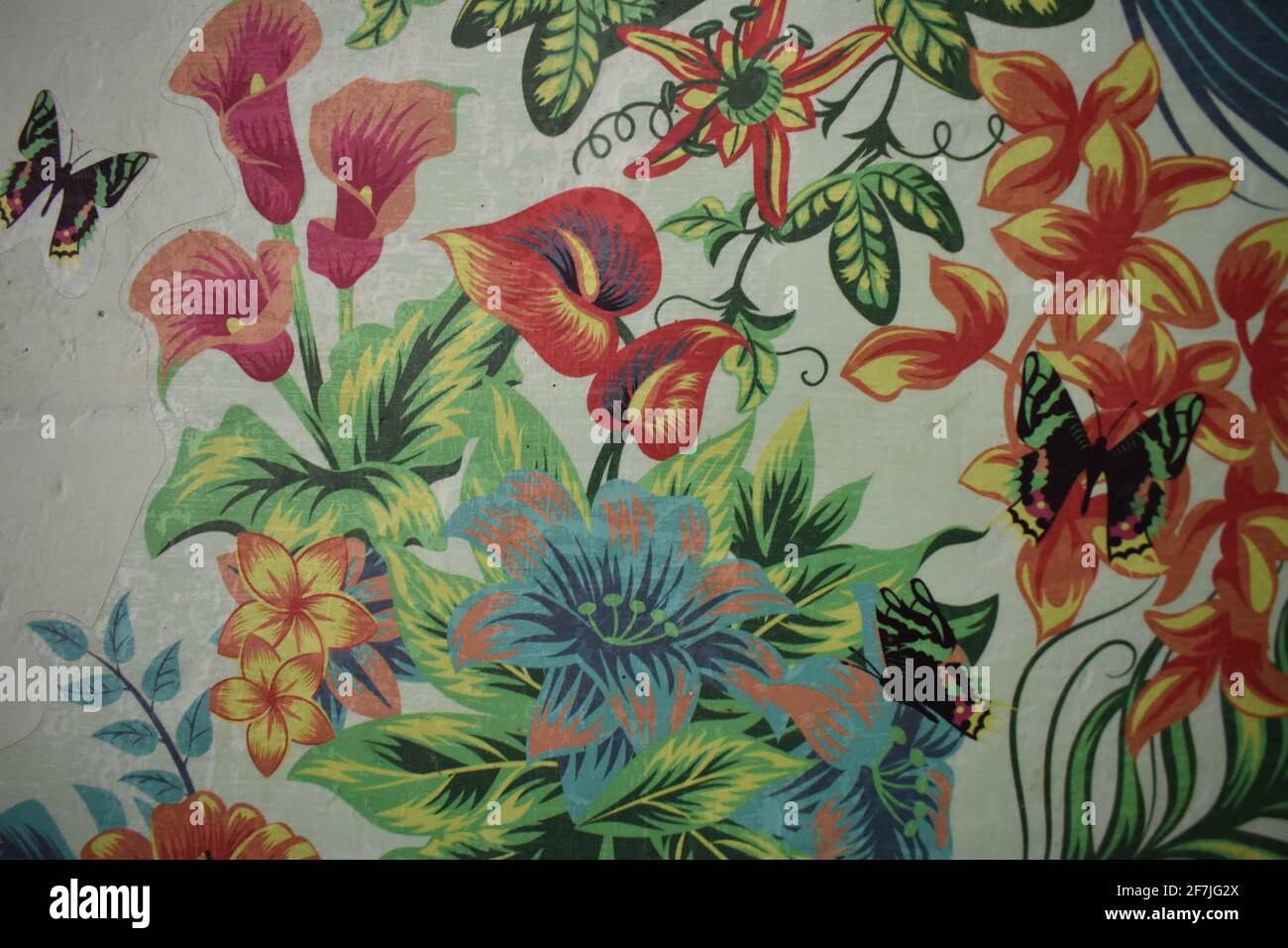 Colorful natural wall background Stock Photo - Alamy
