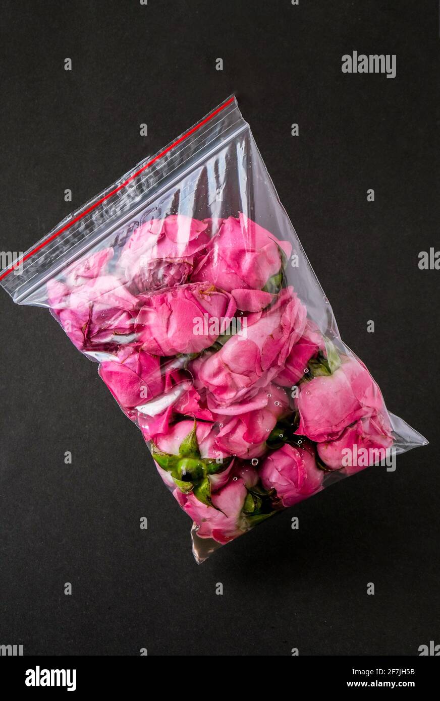 Environmental pollution concept. Flower in a plastic bag. Danger ...