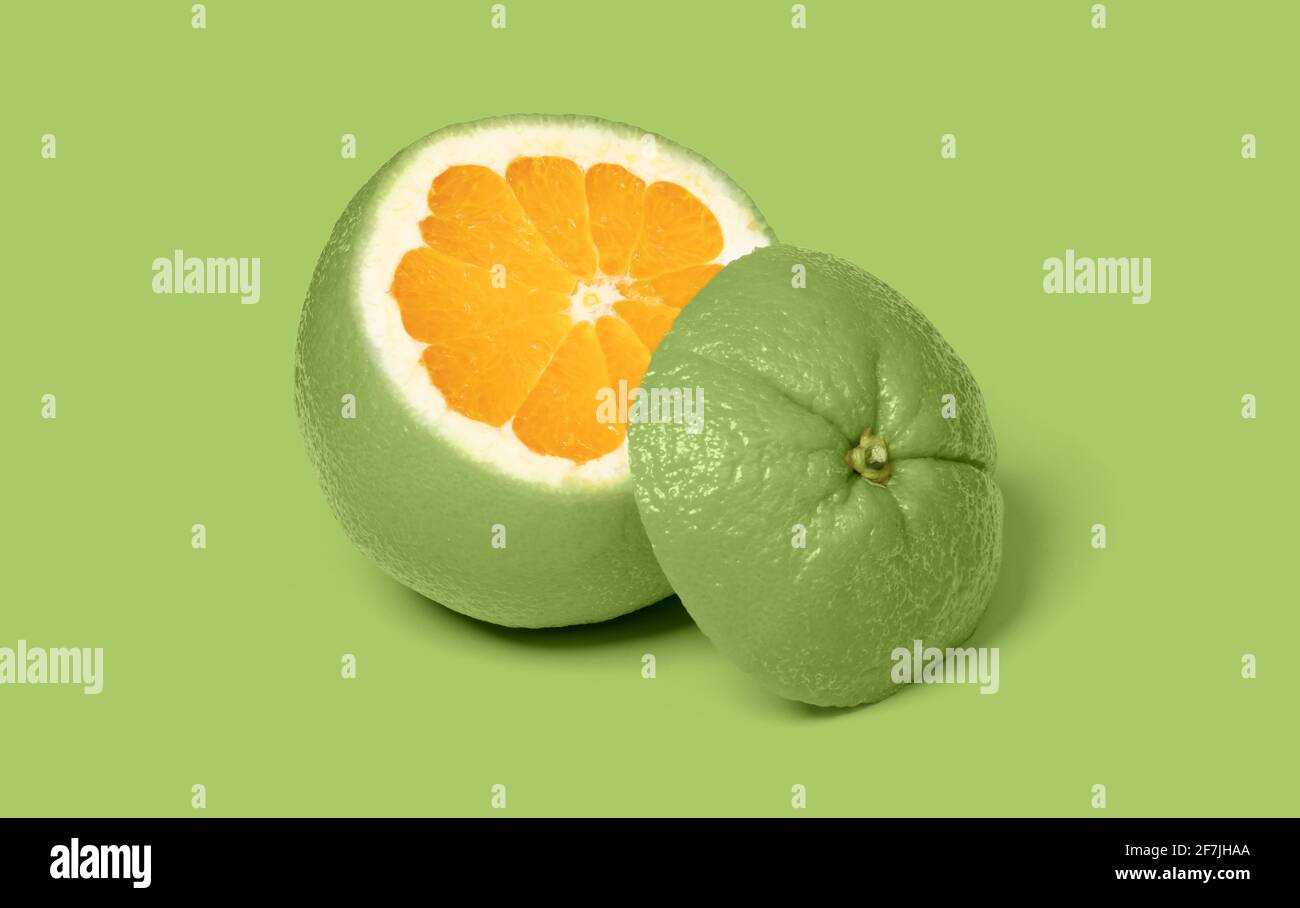 Weird lime colored sliced orange isolated on a pink background Stock ...