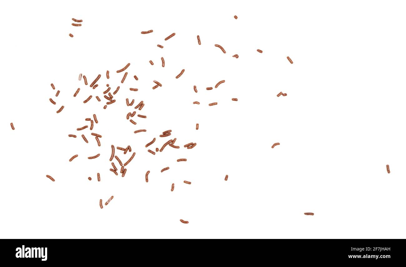 Typical dutch chocolate sprinkles (hagelslag), used on bread, cake or ...