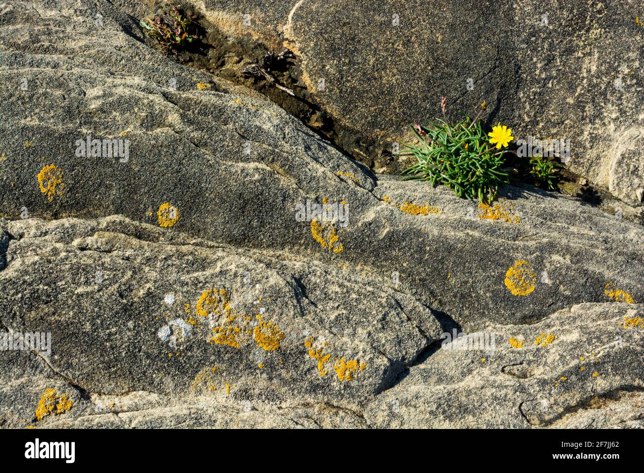 Rock formations of sandstone and other materials on the coast of the ...