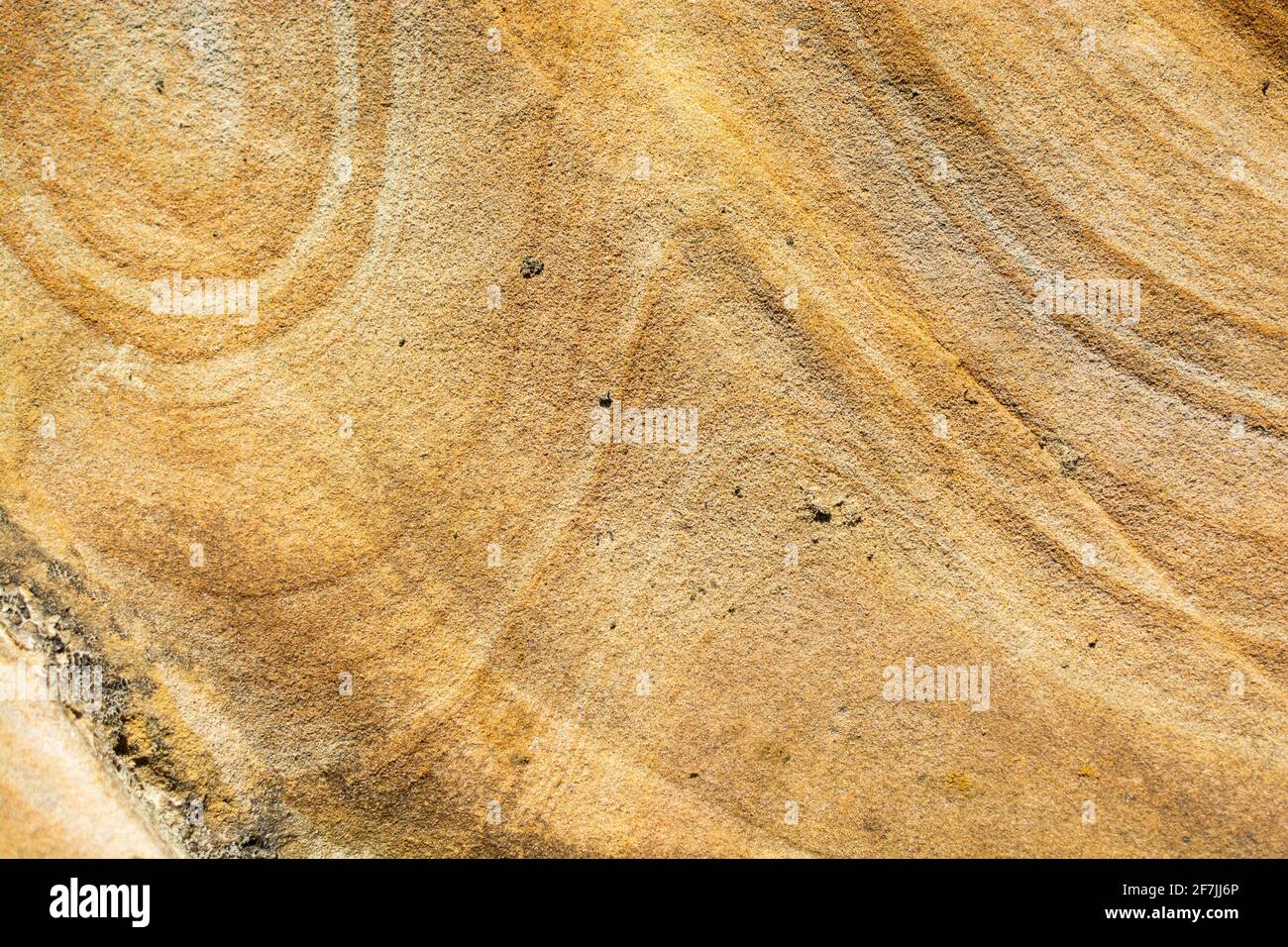 Rock formations of sandstone and other materials on the coast of the ...
