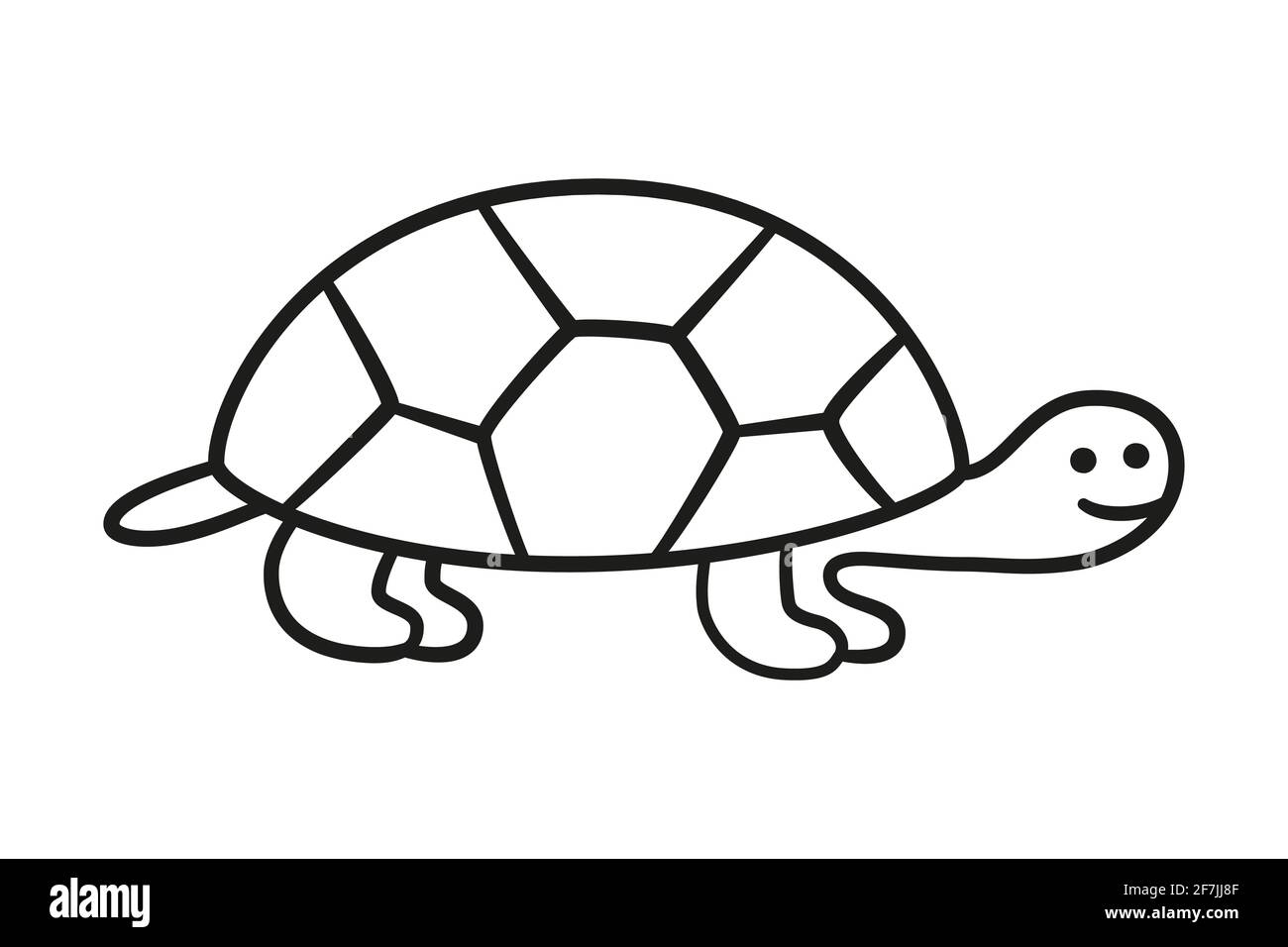 Cute Turtle Doodle
