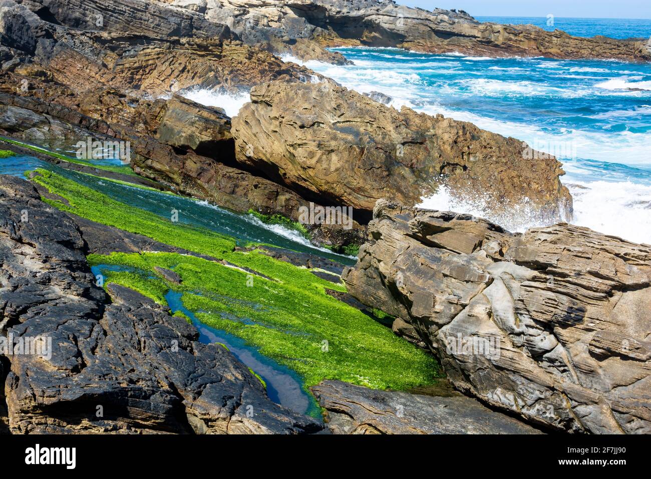 Rock formations of sandstone and other materials on the coast of the ...