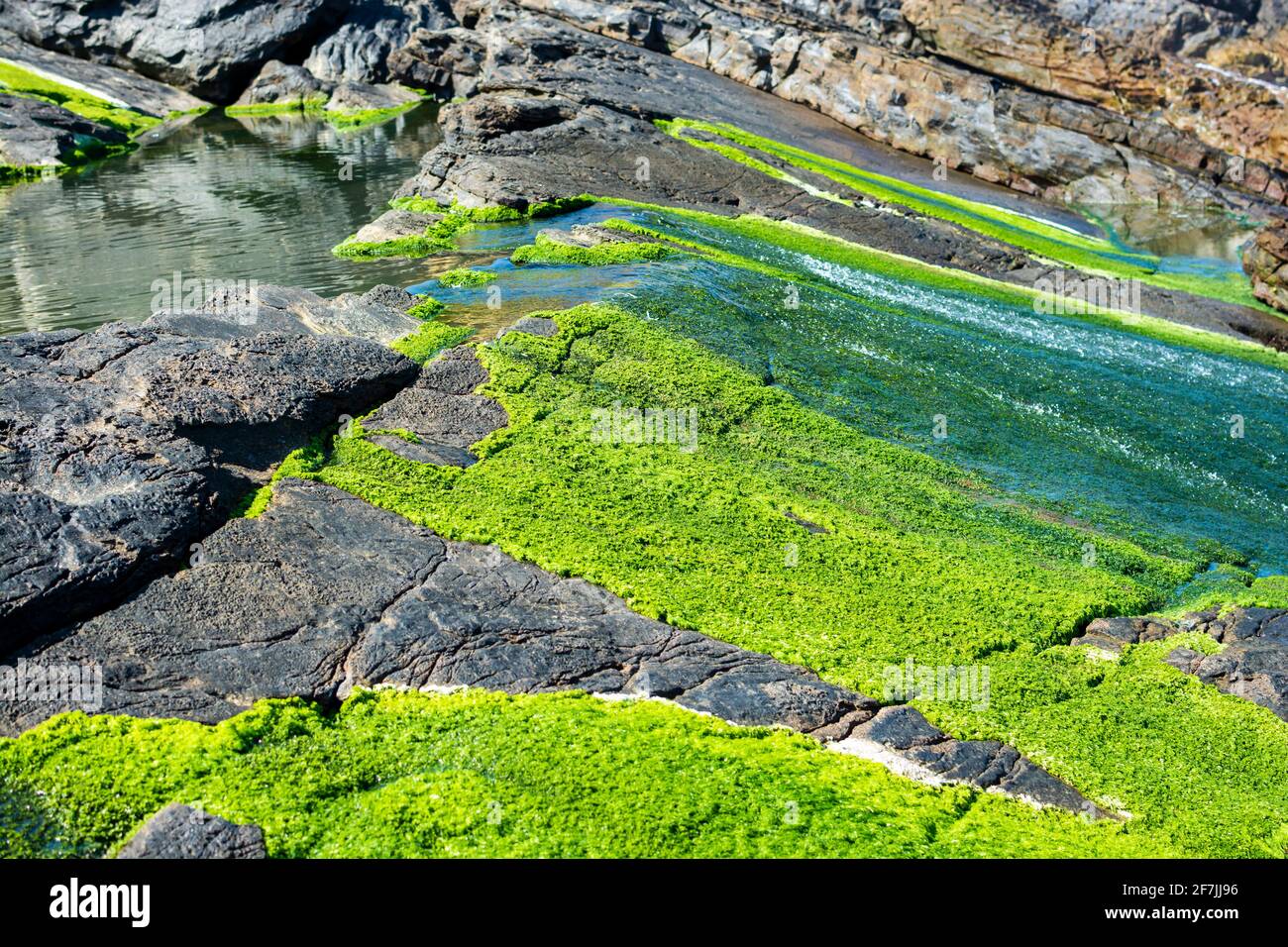 Rock formations of sandstone and other materials on the coast of the ...