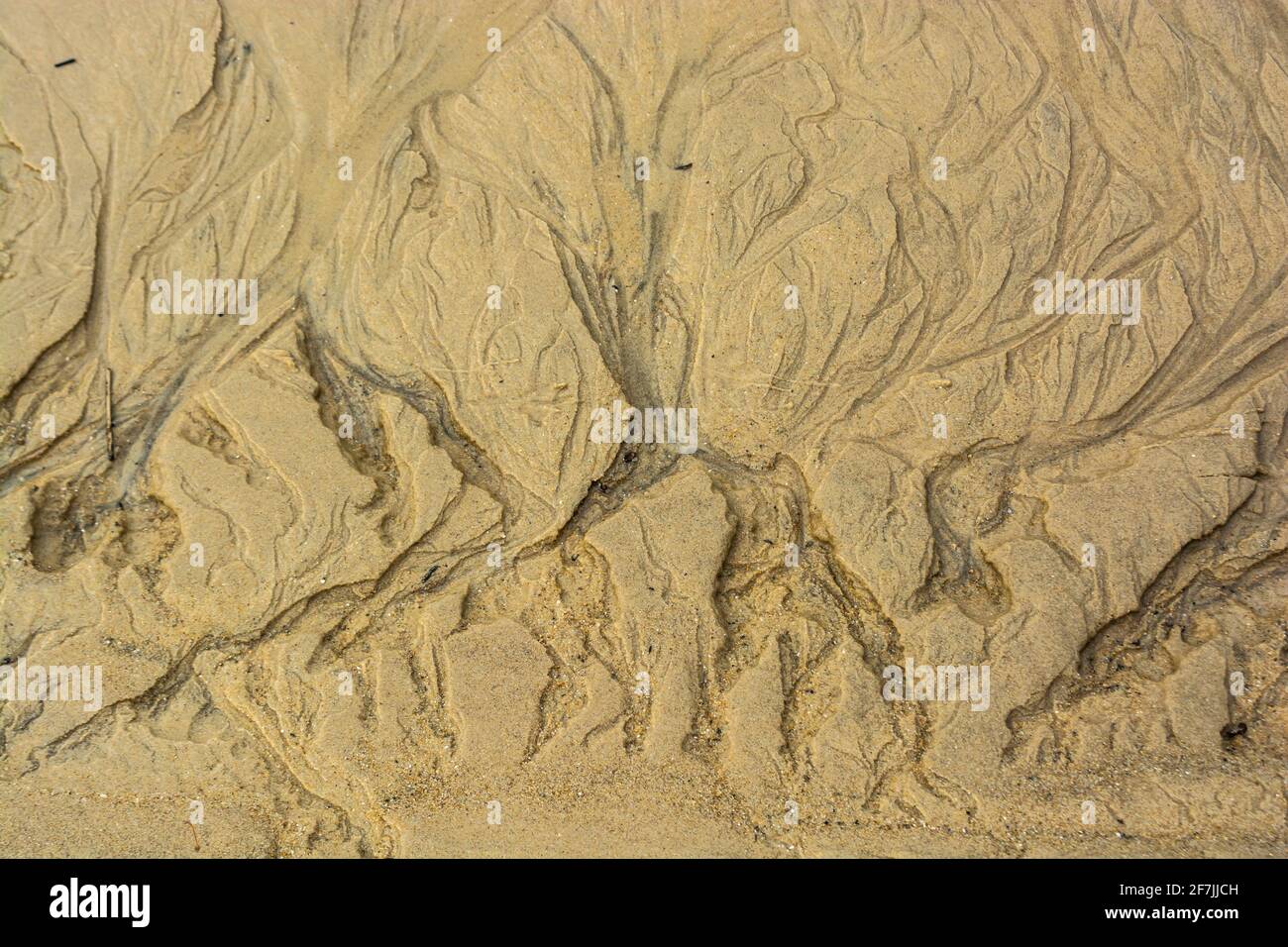 drawings in the sand of sea waves on a beach making abstract drawings ...