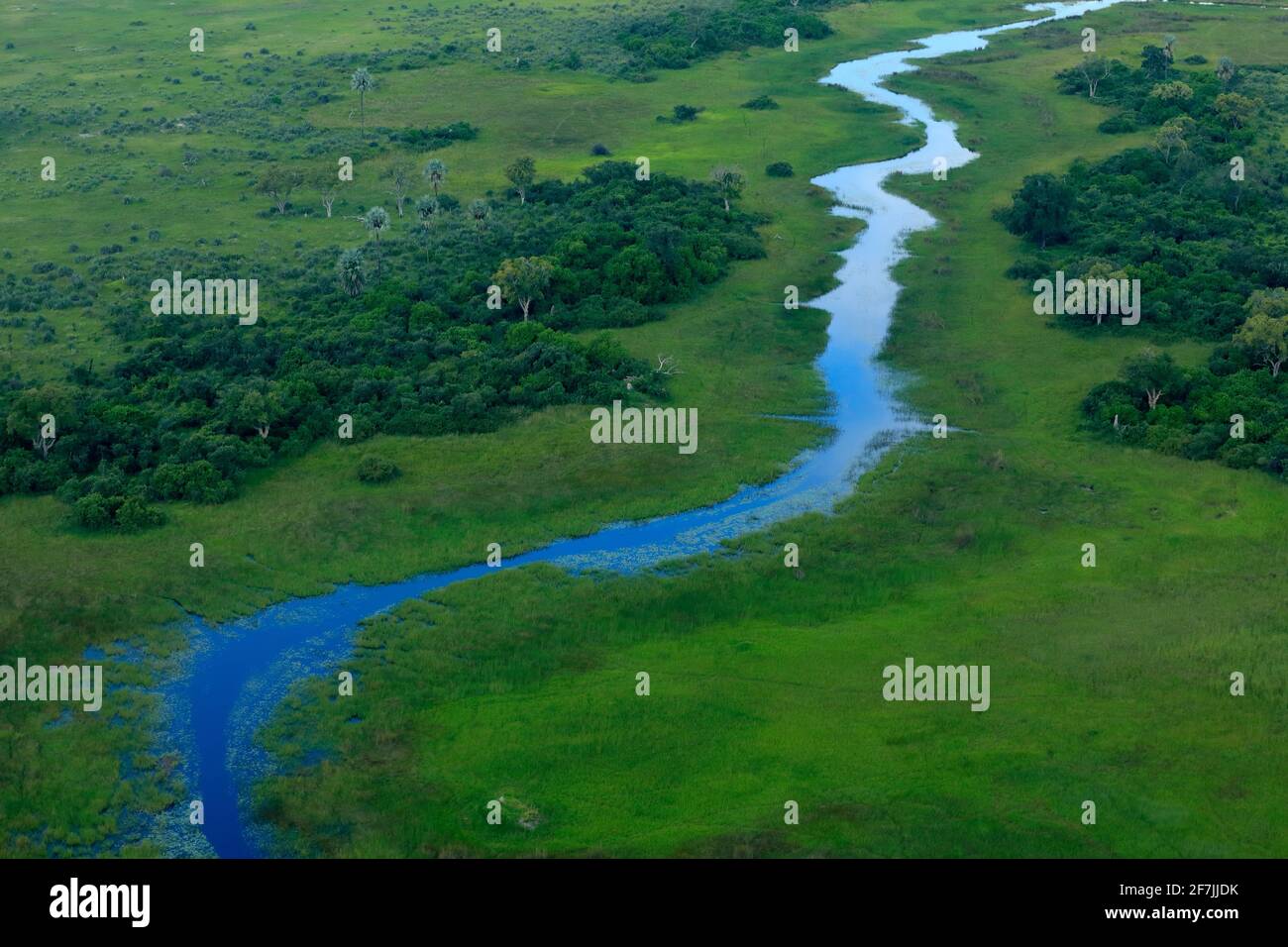 Aerial landscape in Okavango delta, Botswana. Lakes and rivers, view ...