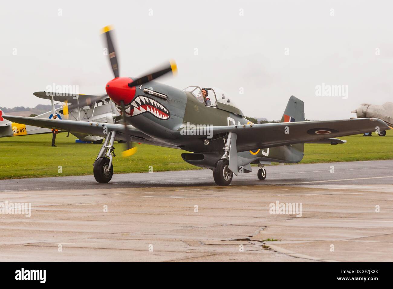 Raf p51 mustang hi-res stock photography and images - Alamy