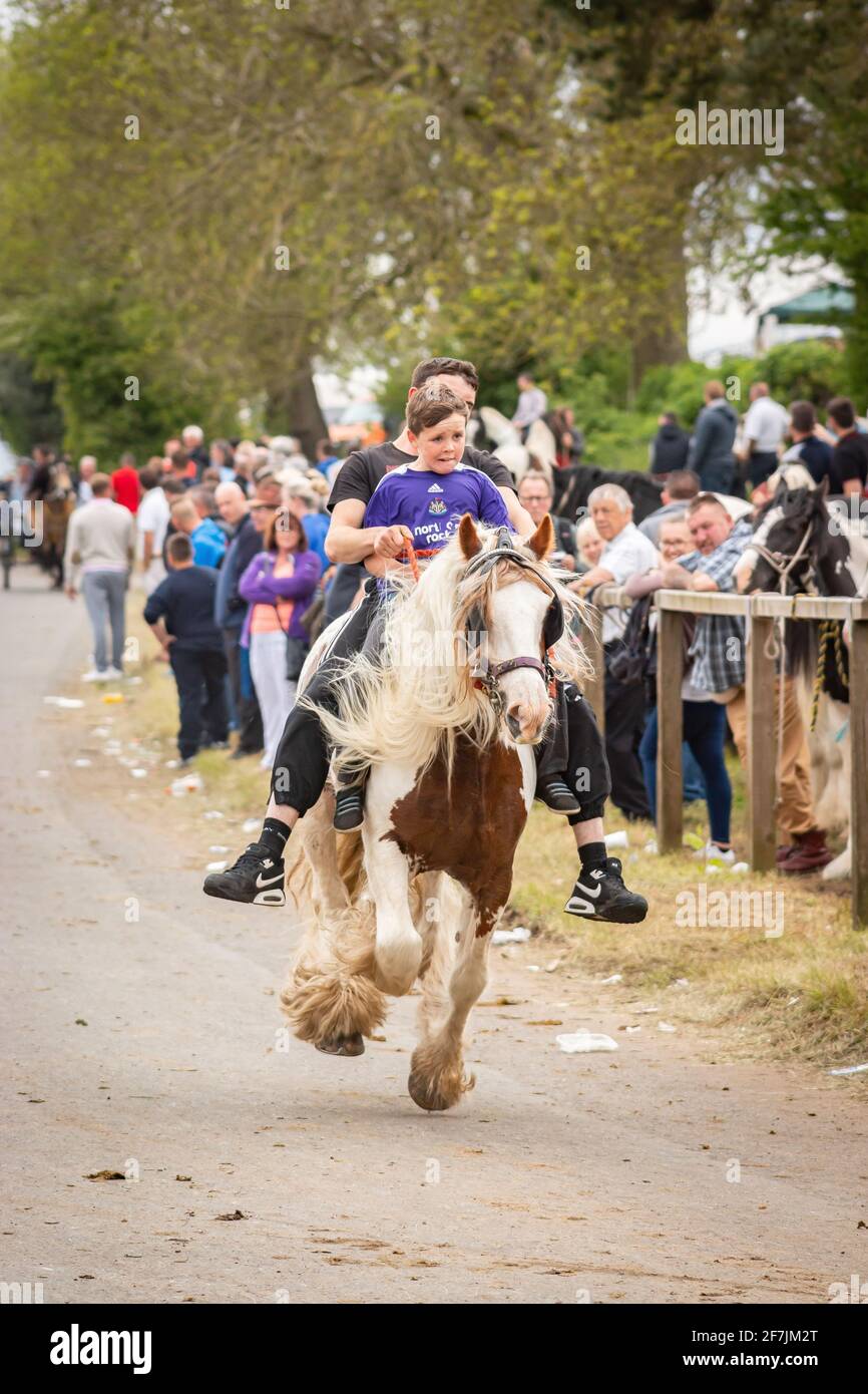 man and young boy two up on galloping horse at Appleby Horse fair ...