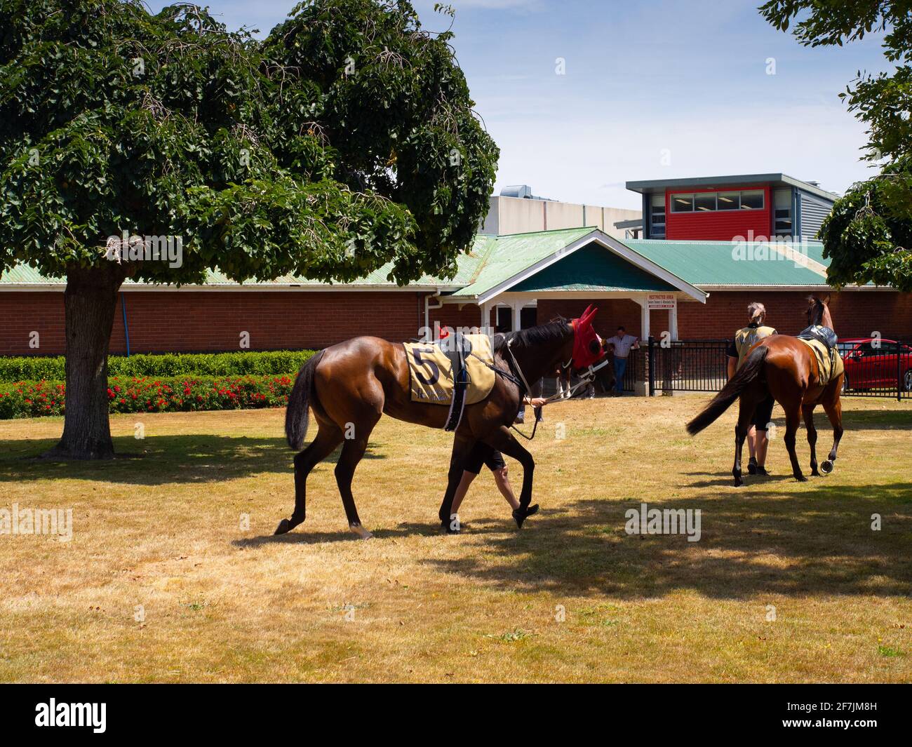 Races paraded hi-res stock photography and images - Alamy