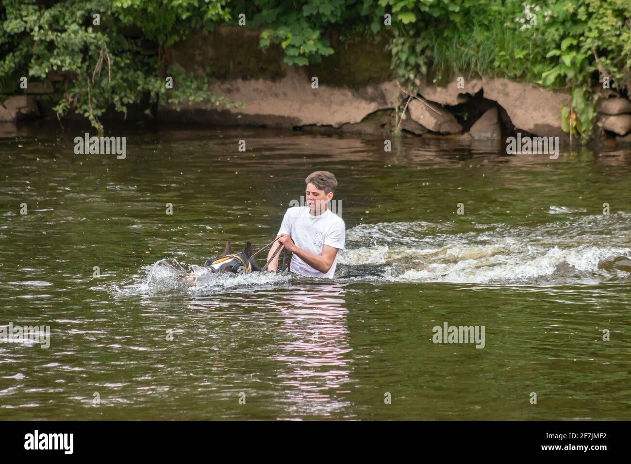 young gypsy traveller man on horse in river at Appleby Horse fair ...