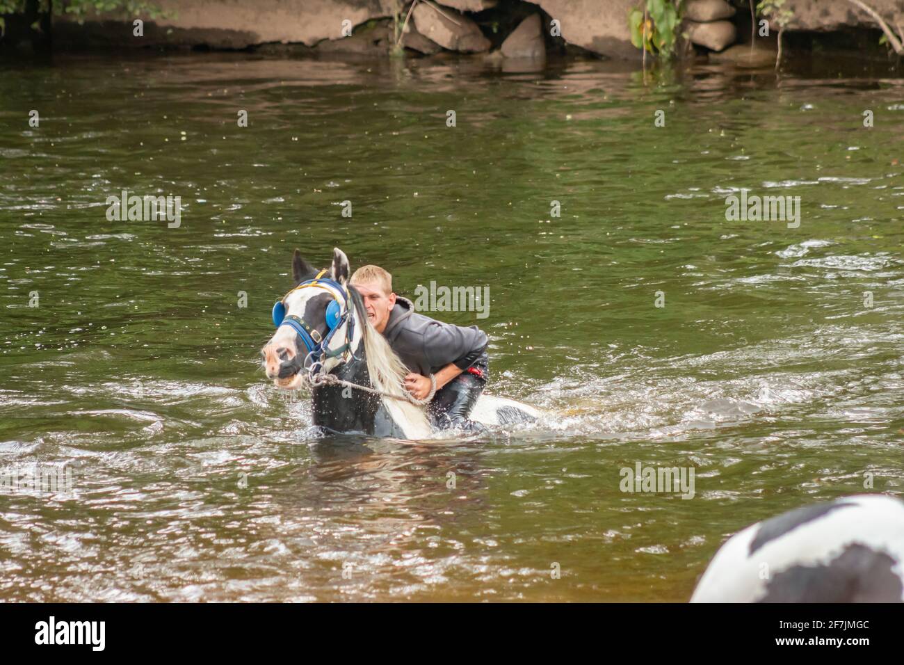 young gypsy traveller man on horse in river at Appleby Horse fair ...