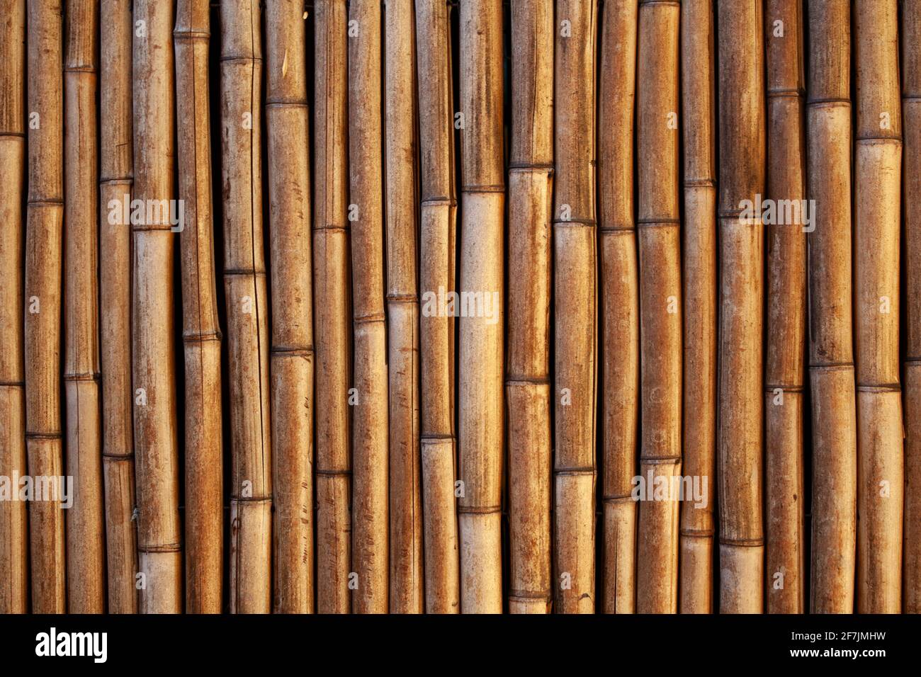 Sseamless texture hi-res stock photography and images - Alamy