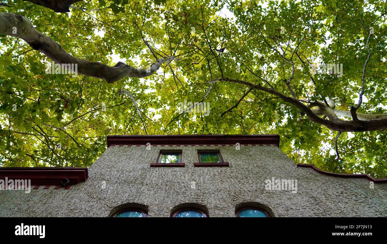 Green trees and old house in Wukang Road of Shanghai city Stock Photo ...