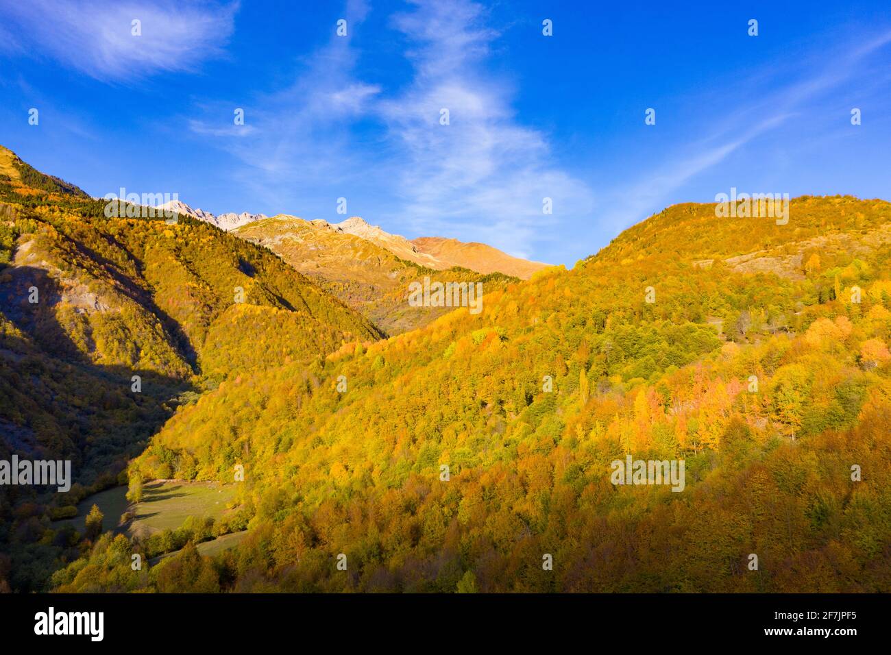 Landscape in Racha Georgia, autumn forest Stock Photo - Alamy