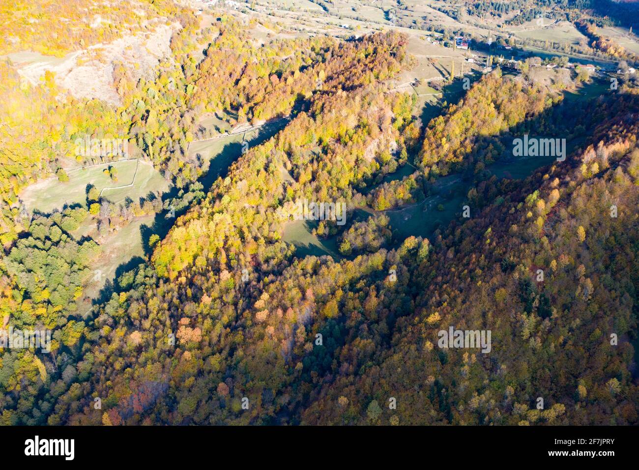 View from a drone to a rusty forest. Autumn colors and amazing views ...
