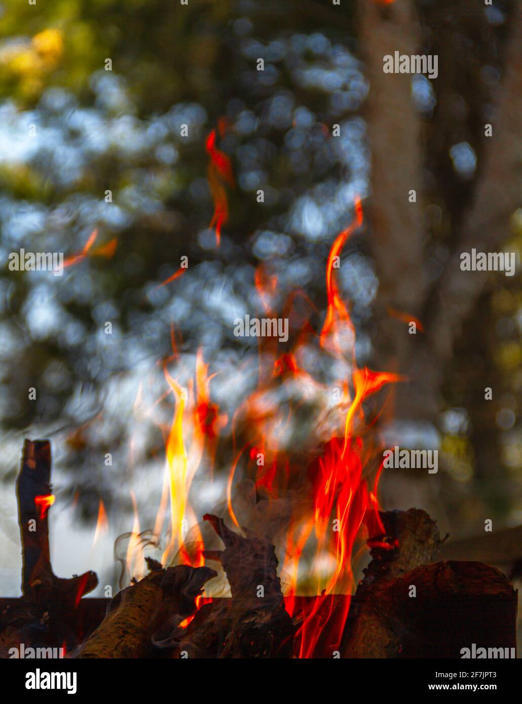Maple wildfire hi-res stock photography and images - Alamy