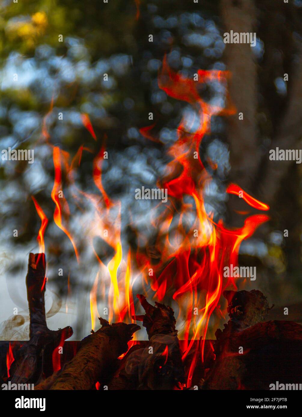 Fire wildland hi-res stock photography and images - Alamy