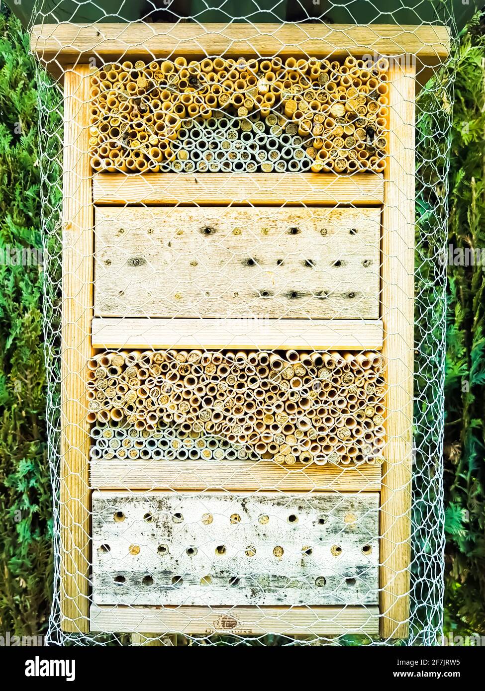 Insects hotel made of wood with bird protection Bees Wild bees nest ...