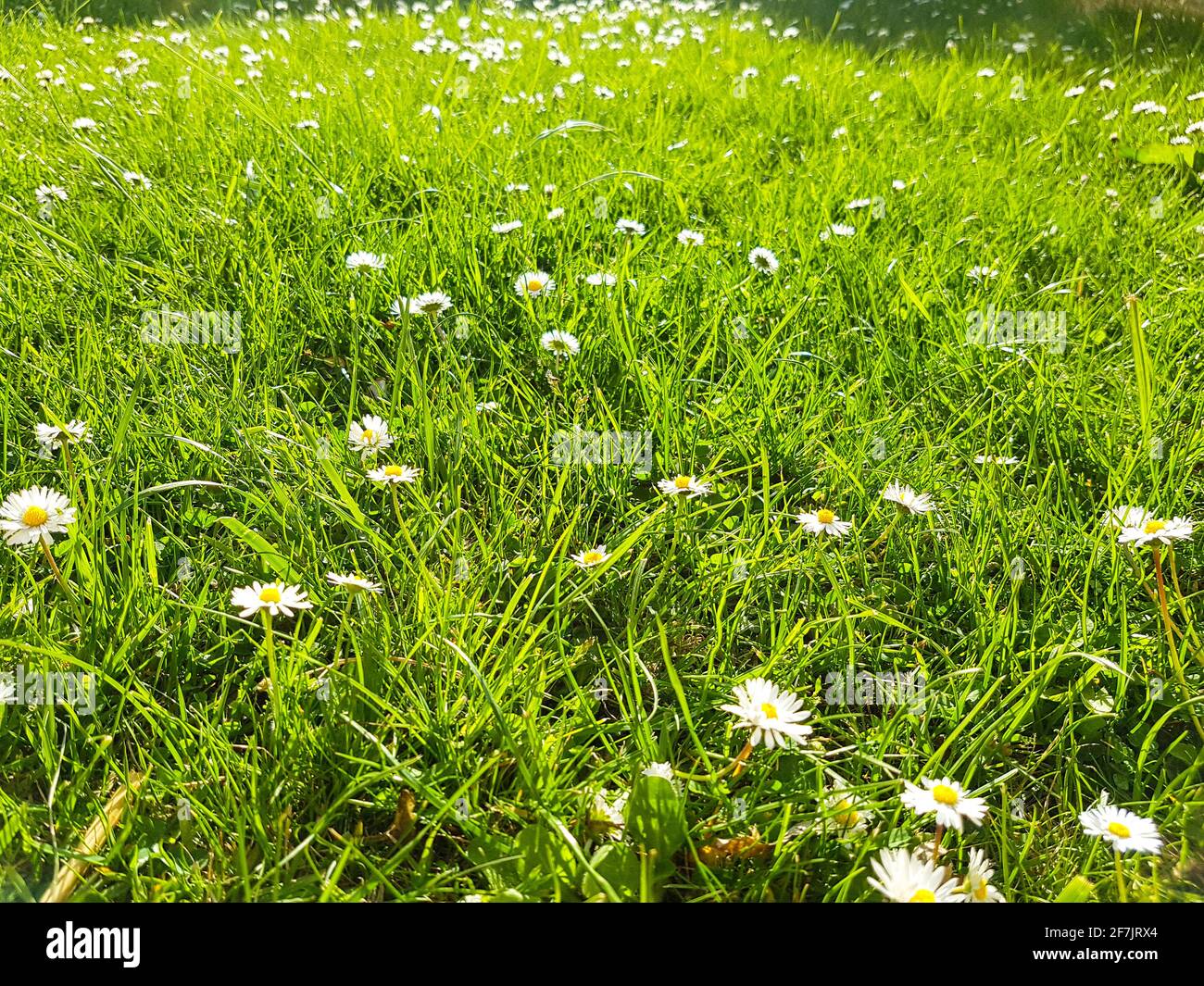 Tem background hi-res stock photography and images - Alamy
